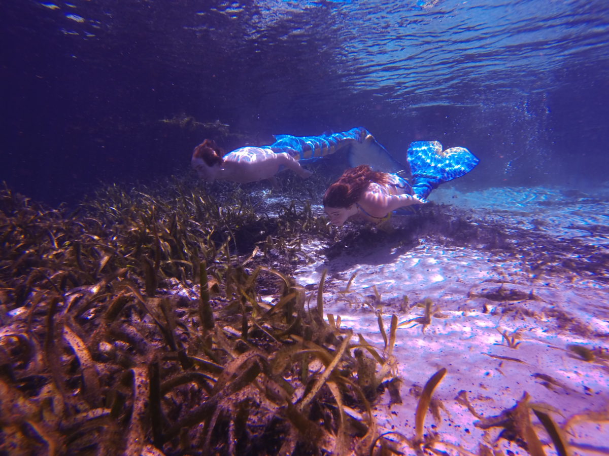 Real Mermaid Celeste From Florida - Her story and how she became a Mermaid