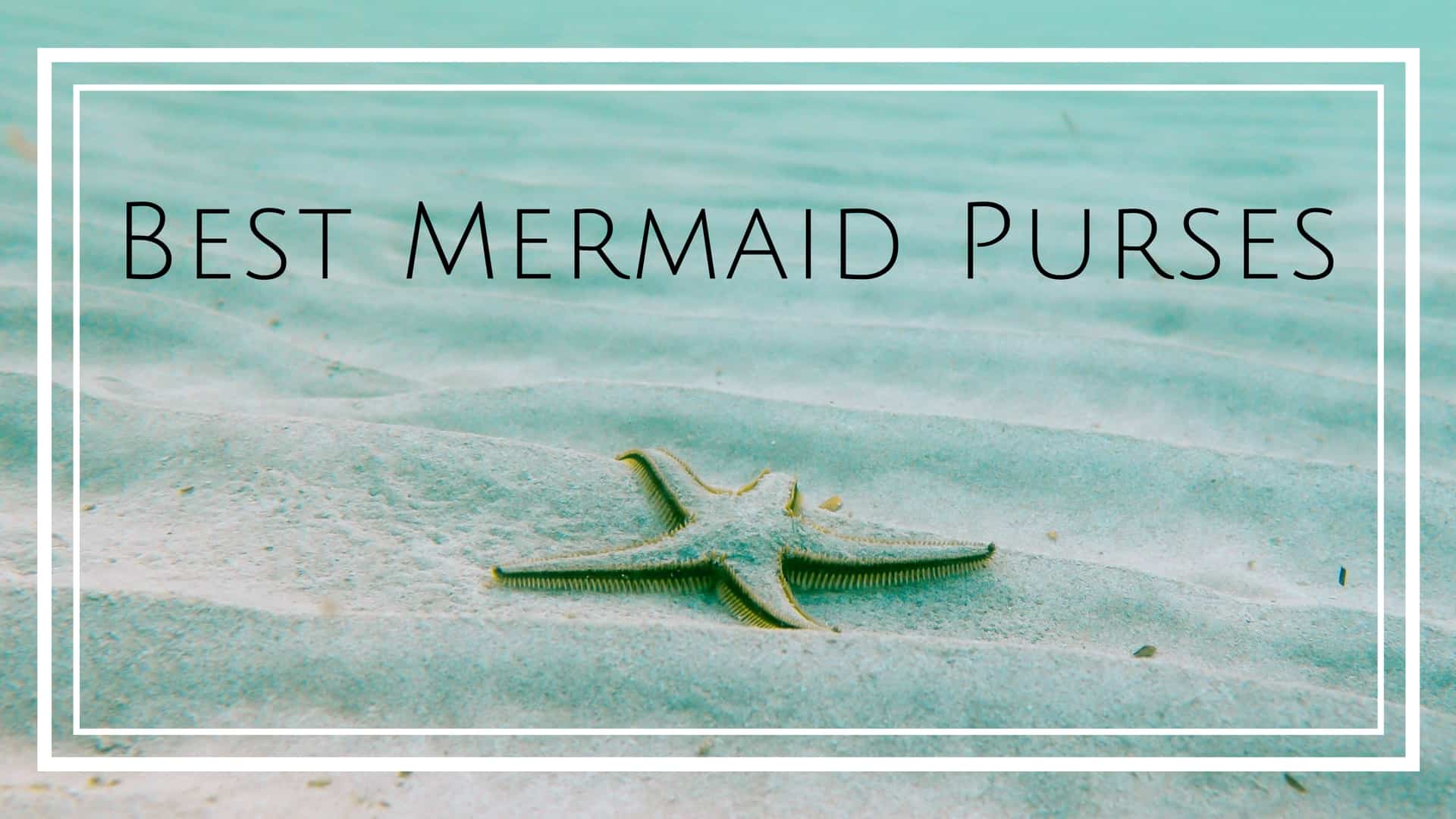 Mermaid Purse That Helps You Feel Like A Mermaid All The Time!