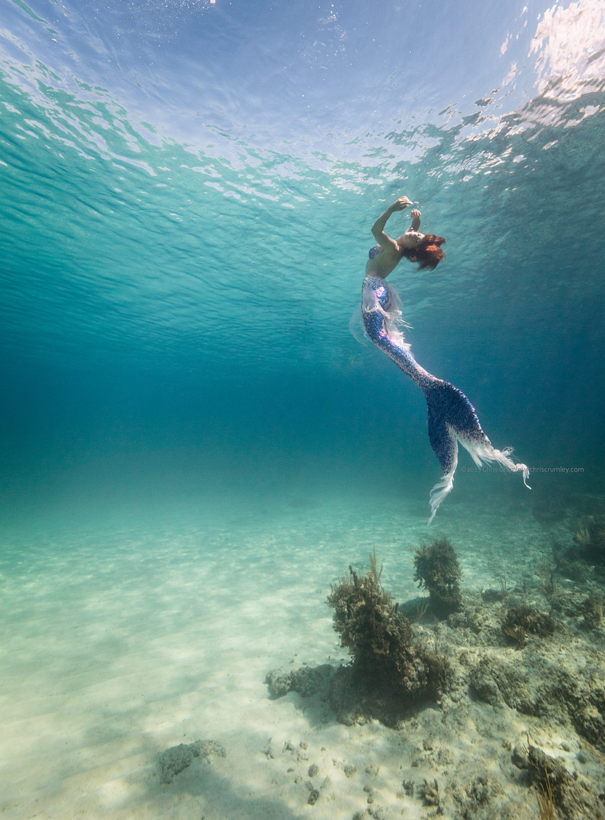 Meet the Mermates! The Leading Ladies For European Mermaids