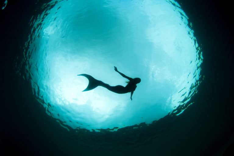 Different Types Of Mermaids - Which One Are You?