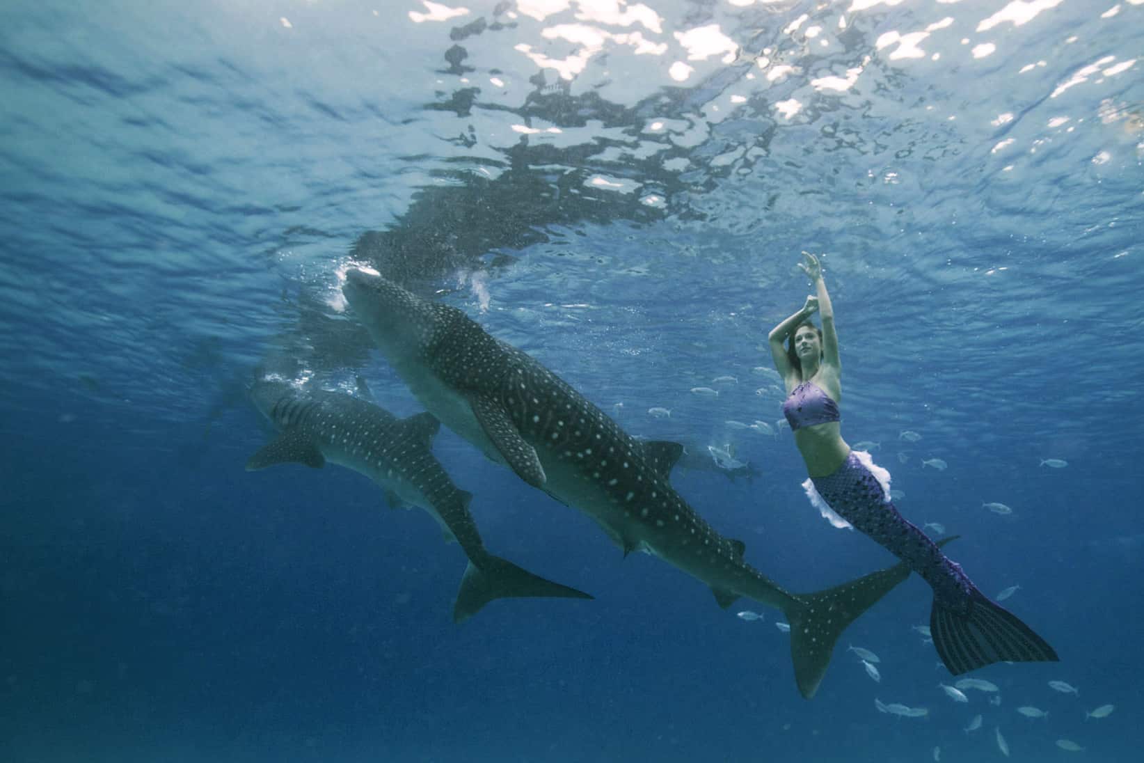 Meet Mermaid Kat - Our Friendly World Traveling Mermaid